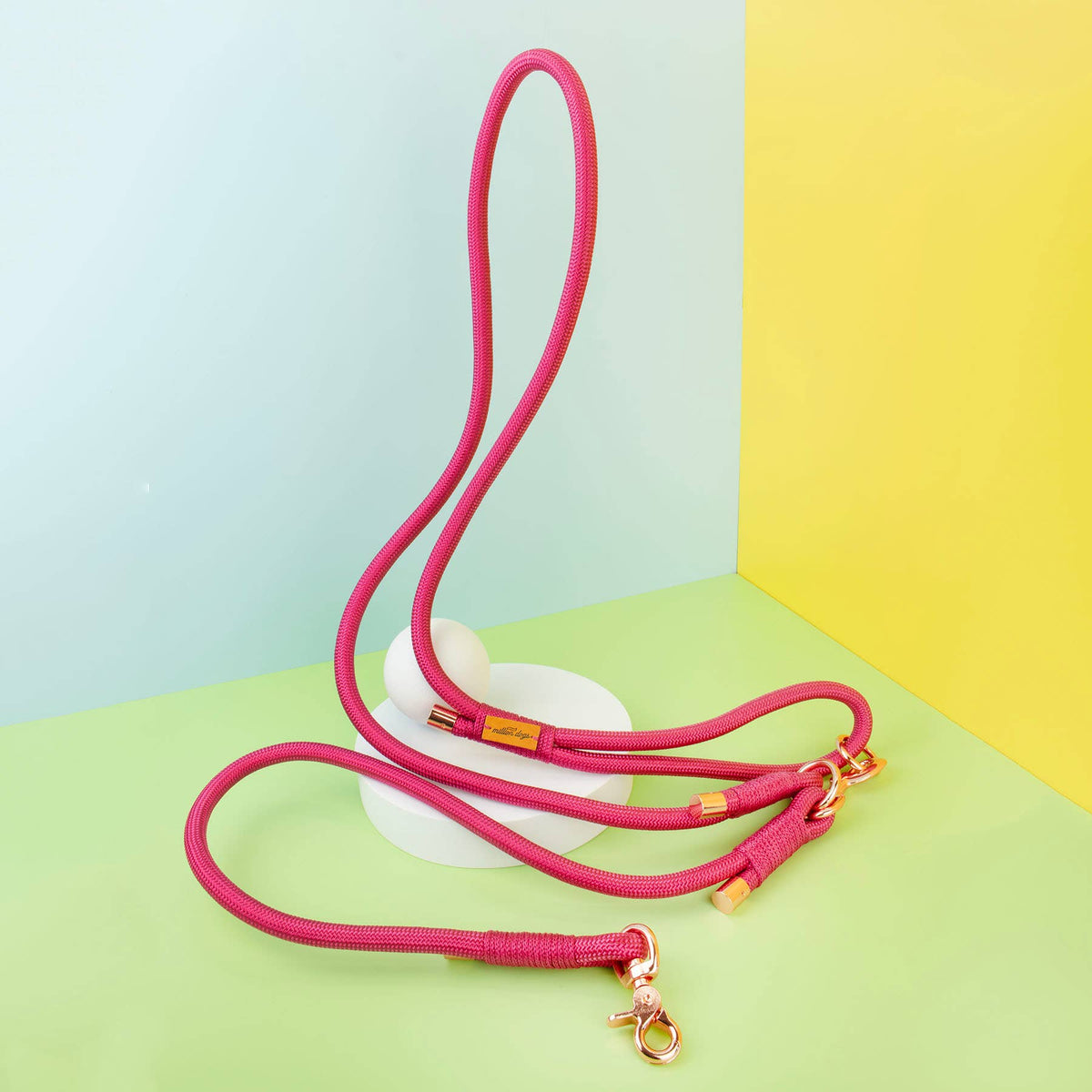 Viva Magenta Hands-Free Rope Leash | The Dog Shop